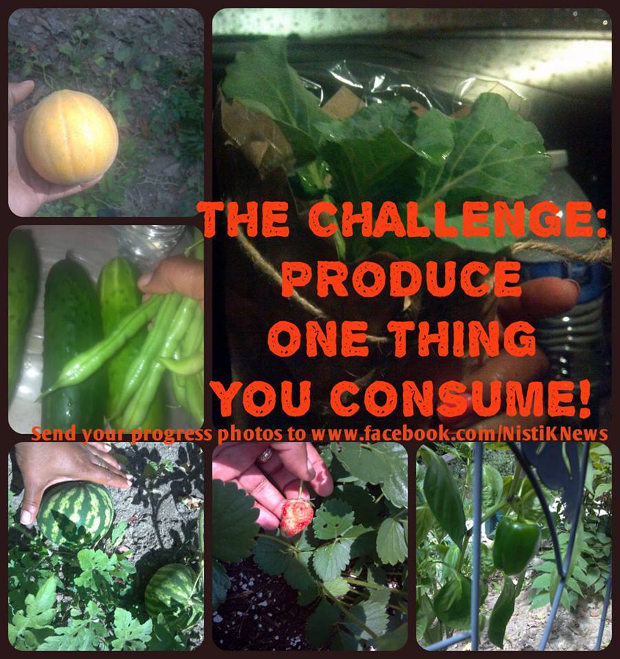 PLANT, WATER, and PRAY – a Call To Action! – The Holding Place